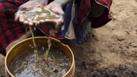 Freshwater World: A Ripple of Change